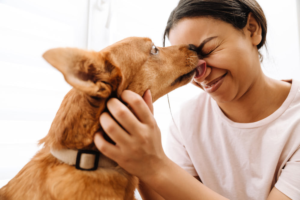 The Secrets Behind Slobbery Dog Kisses (And How to Handle Them) | Tuff Pets