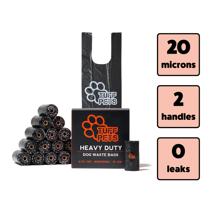 Understanding Submission in Dogs | Tuff Pets